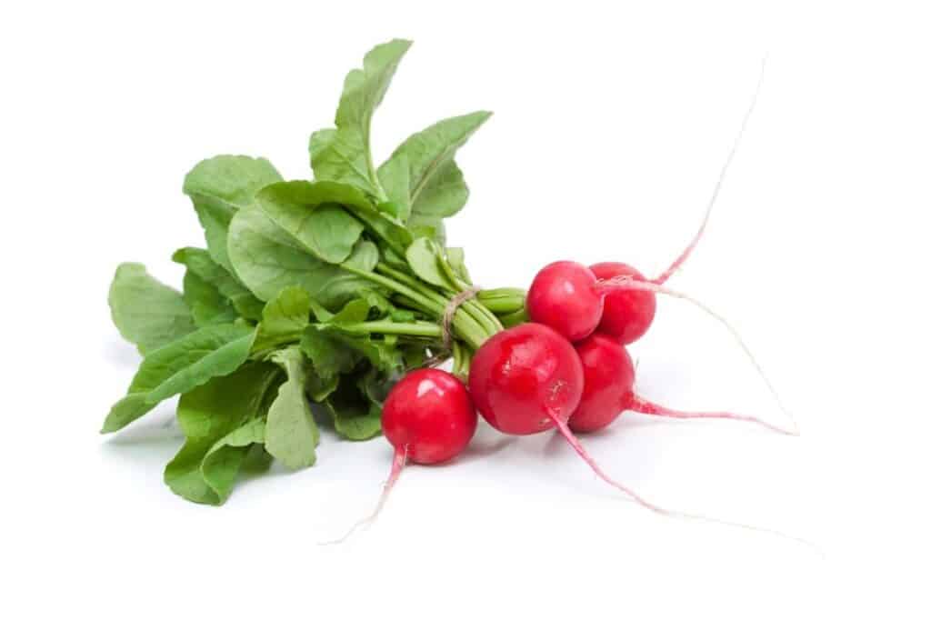 Wat zijn knolgroenten Radijsjes 1 | Culinea.nl;