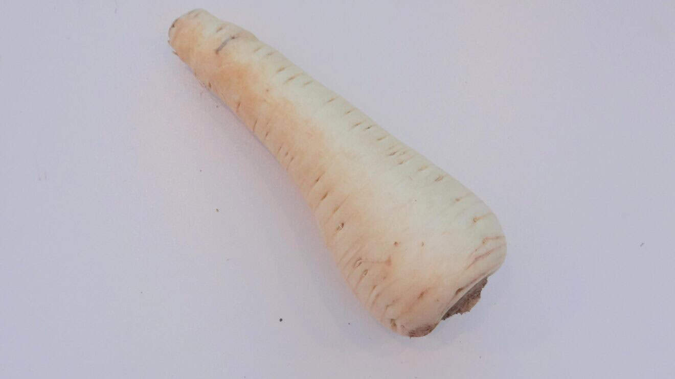 Wat zijn knolgroenten pastinaak (Copy) | Culinea.nl;